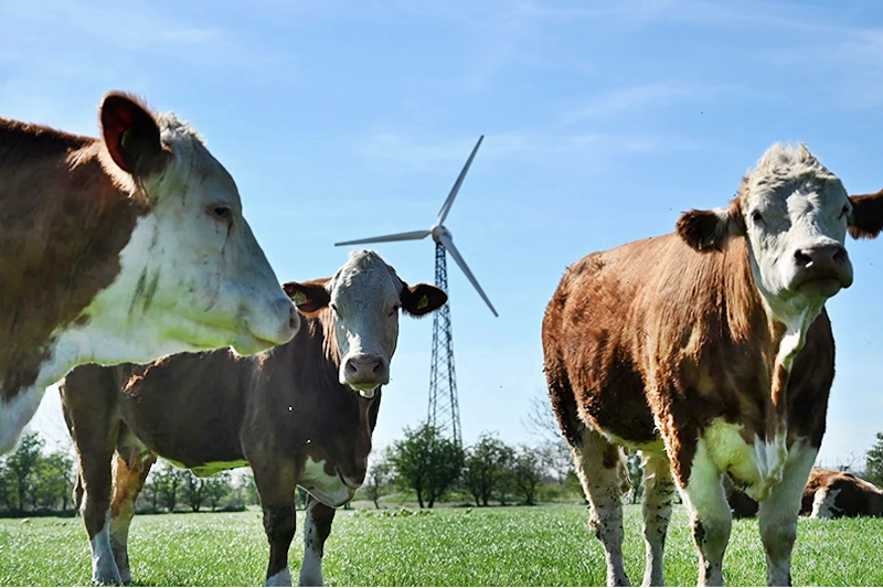Denmark Presents 2030 ‘Farting Tax’ For Livestock, Farmers, Citing ...
