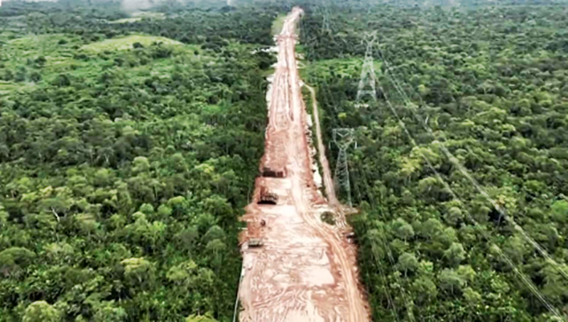 Rainforest Decimated To Build Mega Road For UN Climate Change Summit